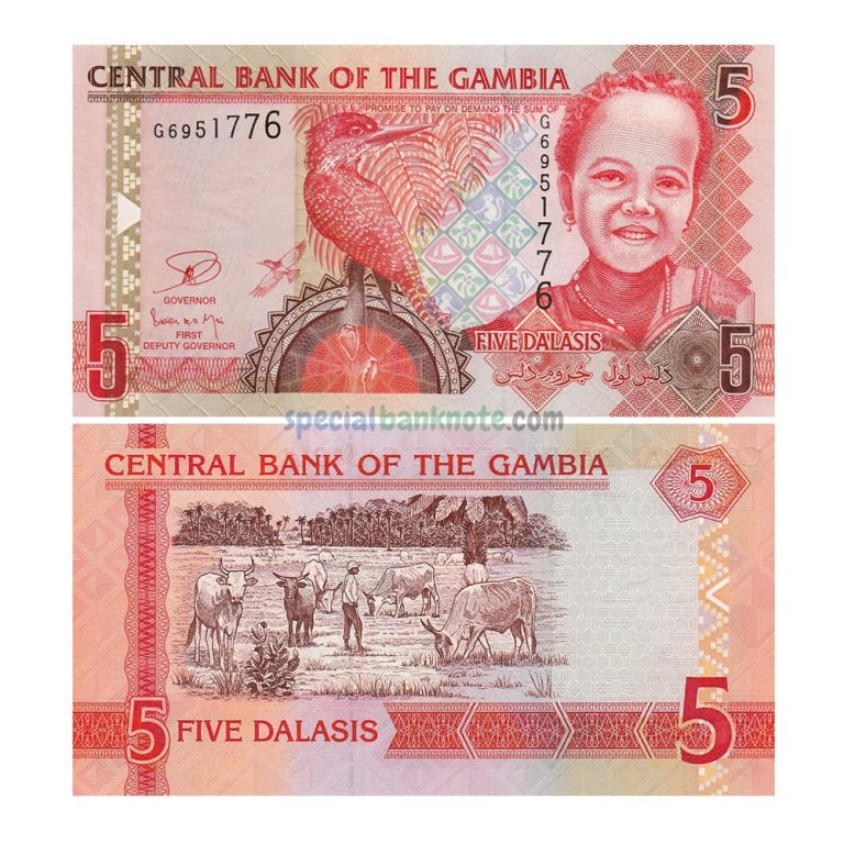 Gambia 5 Dalasis Banknote, 2006-2013, UNC - Special Minds Store