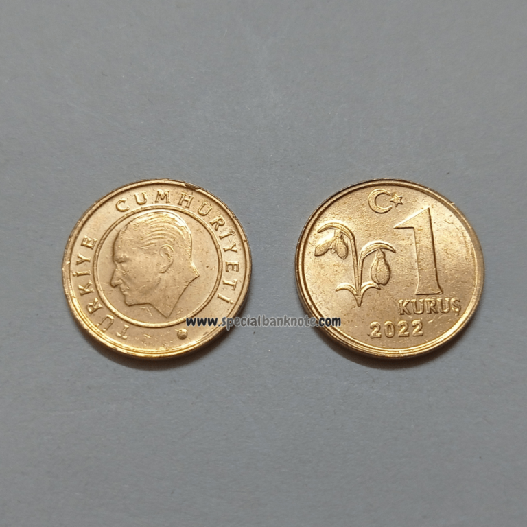 Turkey 1 Kuruş Coin, 2022, UNC - Special Minds Store